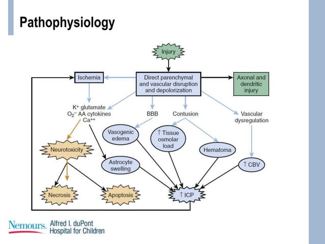 Pediatric traumatic brain injury presentation | PPTX | First Aid | Injuries