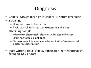Pediatric urinary tract infection | PPTX