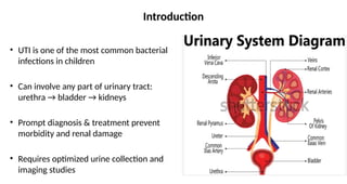 PEDIATRIC URINARY TRACT INFECTION PRESENTATION.pptx