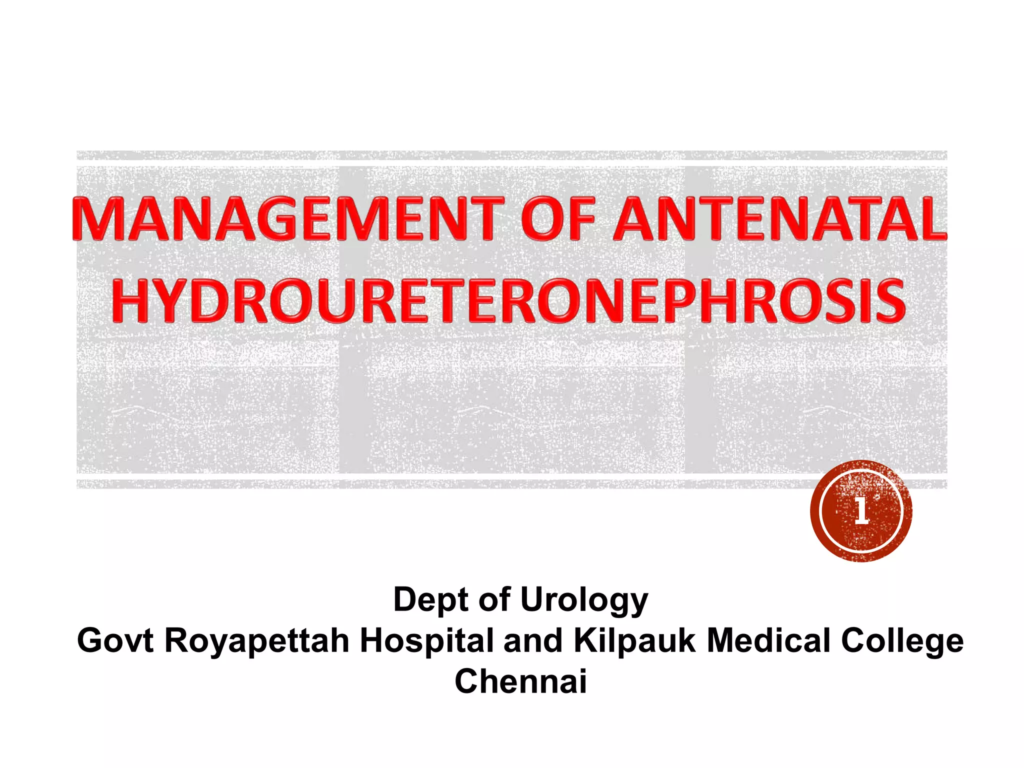Pediatric urology Management Of Antenatal Hydroureteronephrosis | PDF