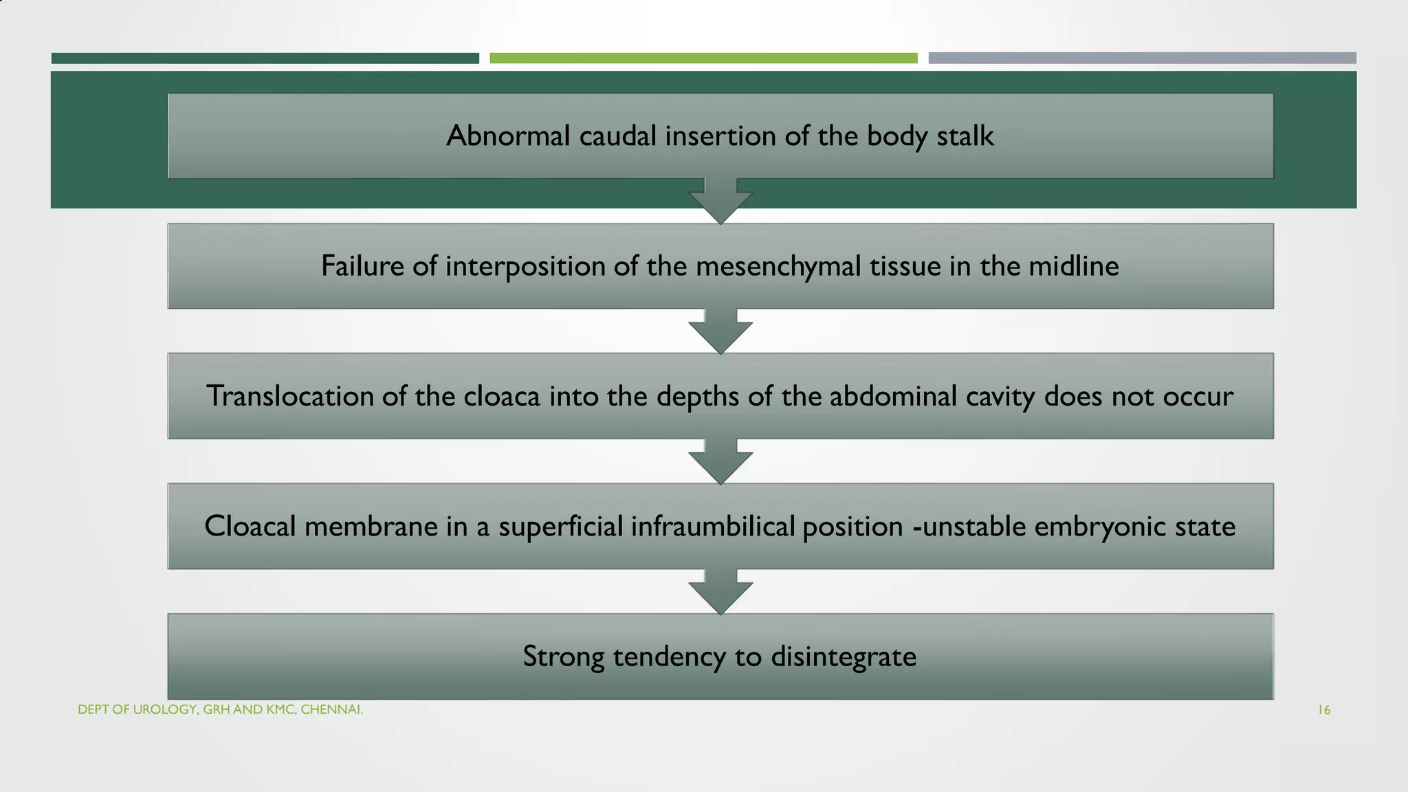 Pediatric urology:Bladder extrophy and Epispadias complex | PDF