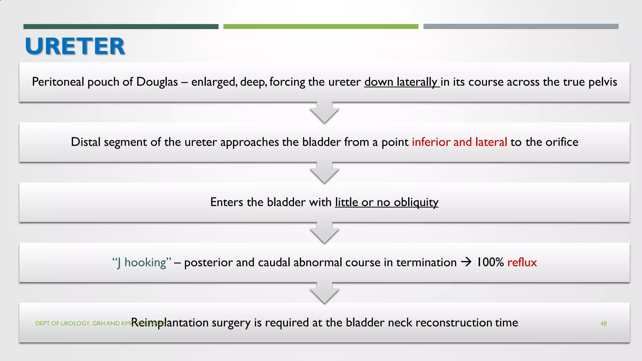 Pediatric urology:Bladder extrophy and Epispadias complex | PDF