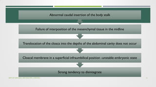 Pediatric urology:Bladder extrophy and Epispadias complex | PDF