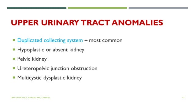 Pediatric urology:Bladder extrophy and Epispadias complex | PDF ...