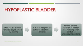 Pediatric urology:Bladder extrophy and Epispadias complex | PDF