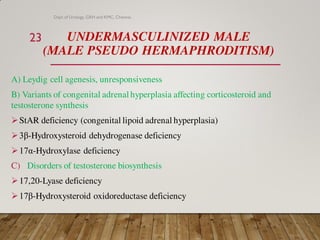 Pediatric urology:Disorders of Sexual Differentiation | PDF