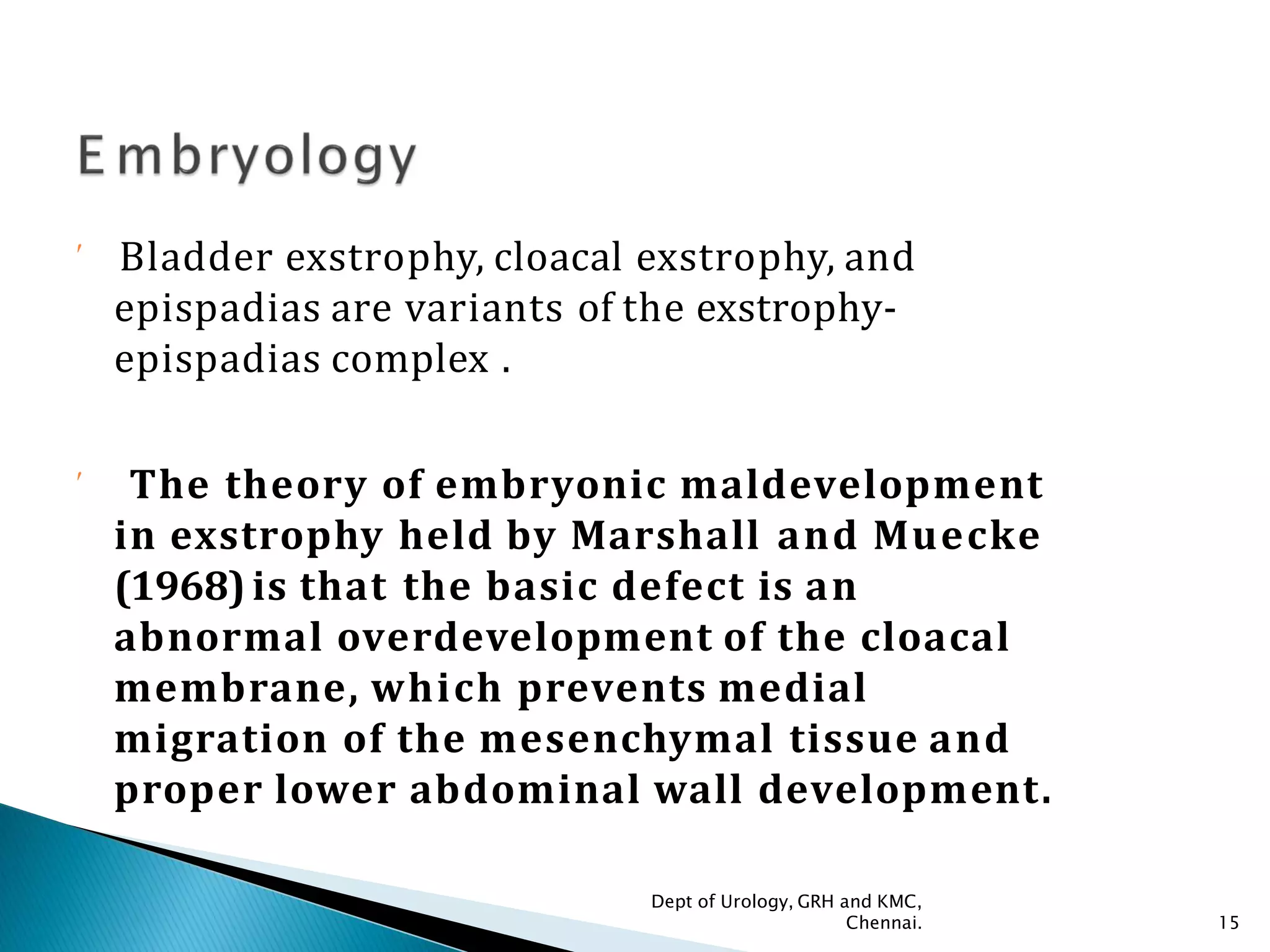 Pediatric urology:Epispadias cloacal exstrophy | PDF