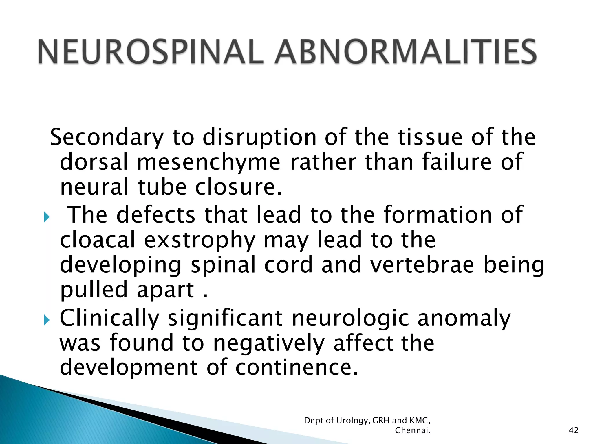 Pediatric urology:Epispadias cloacal exstrophy | PDF