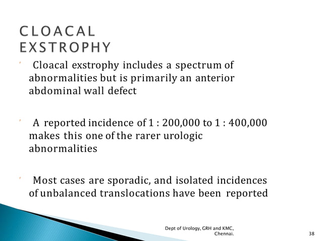 Pediatric urology:Epispadias cloacal exstrophy | PDF
