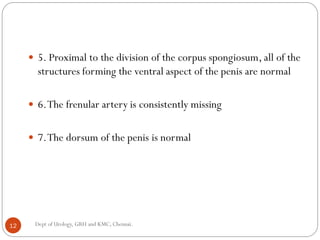 Pediatric urology:Hypospadias- etiology, embryology | PDF
