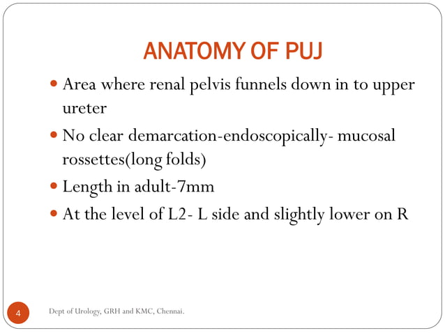 Pediatric urology:Pujo- etiopathogenesis and presentation | PDF