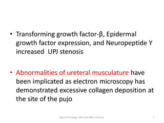 Pediatric urology pujo- pathology | PDF