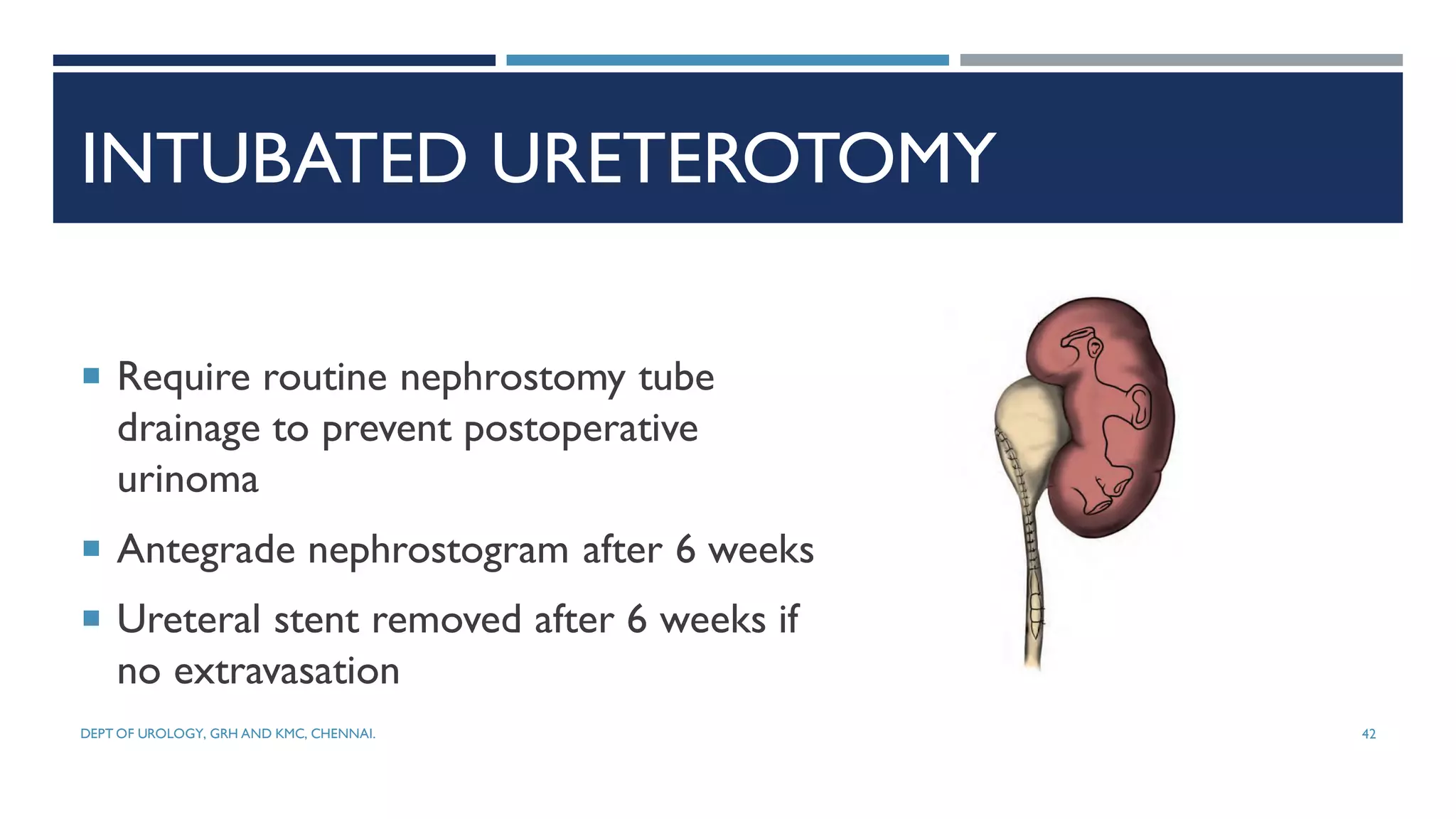 Pediatric urology pujo- pyeloplasty | PDF | Surgery | Medical Health