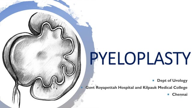 Pediatric urology pujo- pyeloplasty | PDF | Surgery | Medical Health
