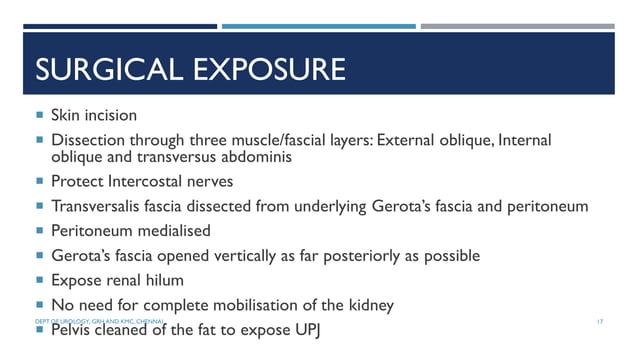 Pediatric urology pujo- pyeloplasty | PDF | Surgery | Medical Health
