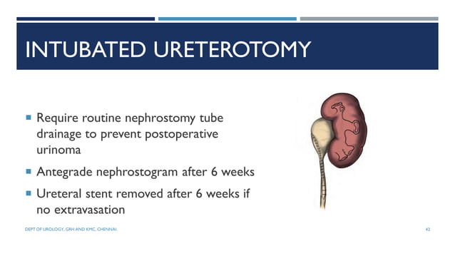 Pediatric urology pujo- pyeloplasty | PDF | Surgery | Medical Health