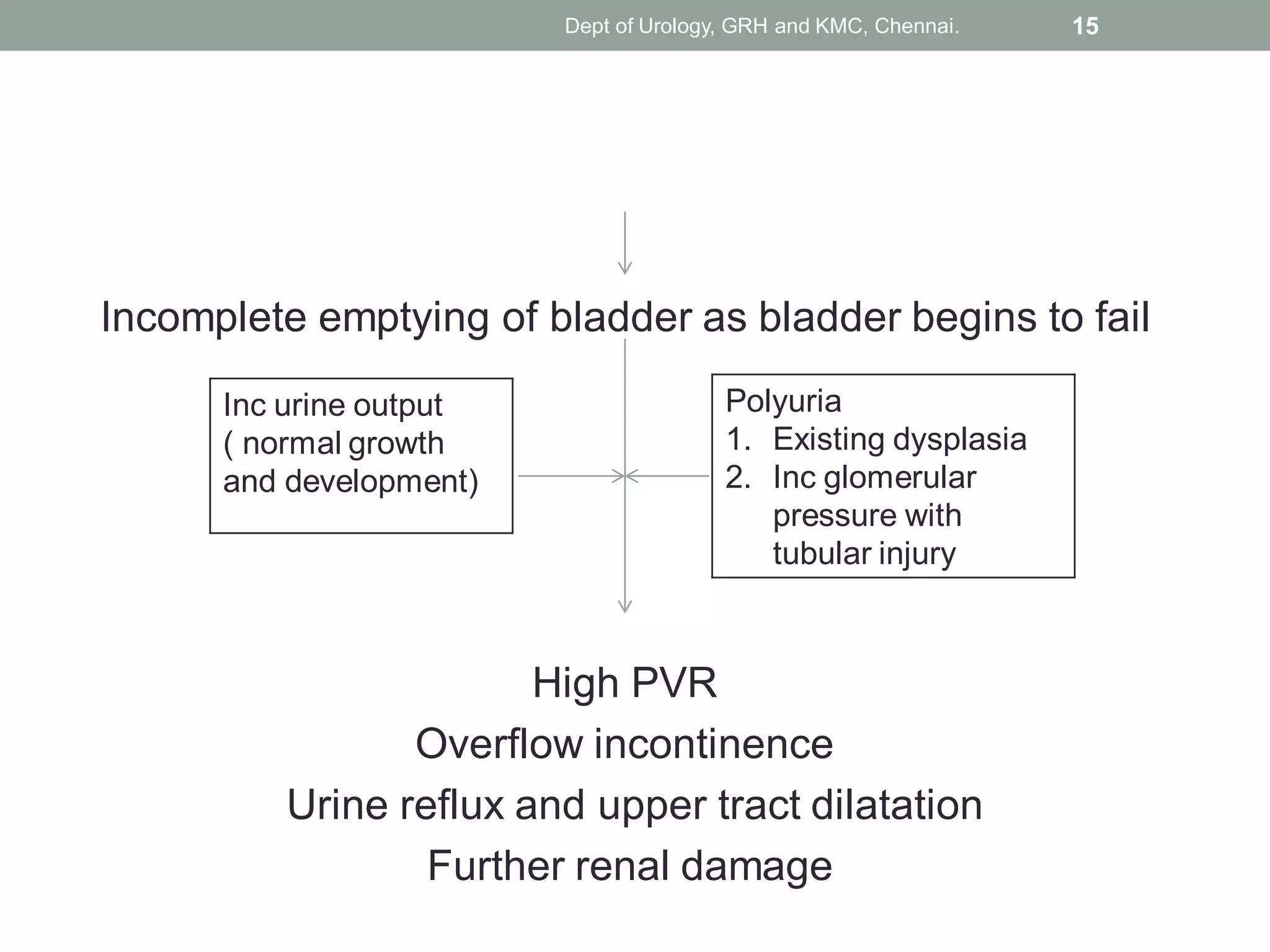 Pediatric urology :Posterior Urethral Valve (PUV)- diagnosis ...