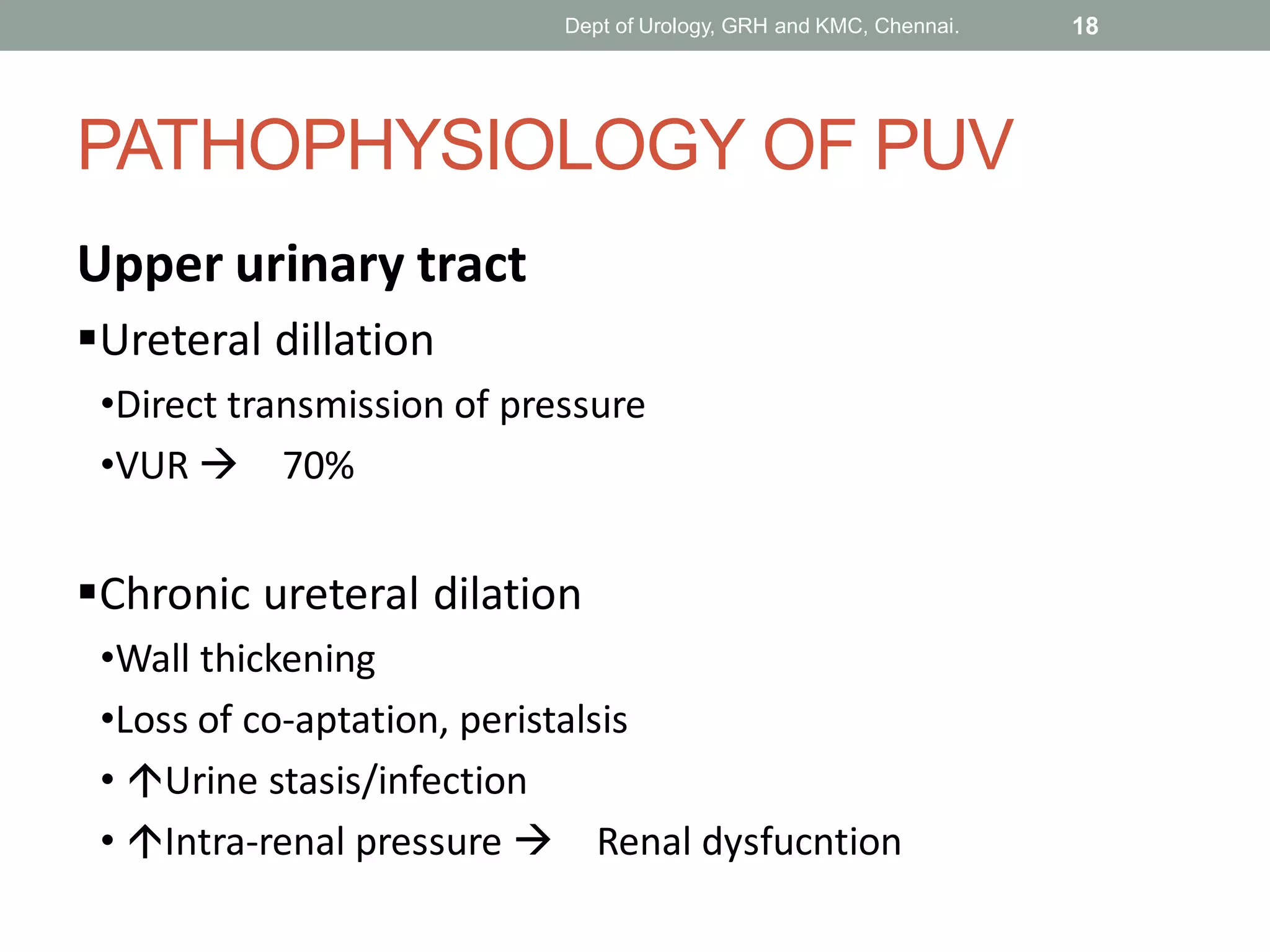 Pediatric urology :Posterior Urethral Valve (PUV)- diagnosis ...
