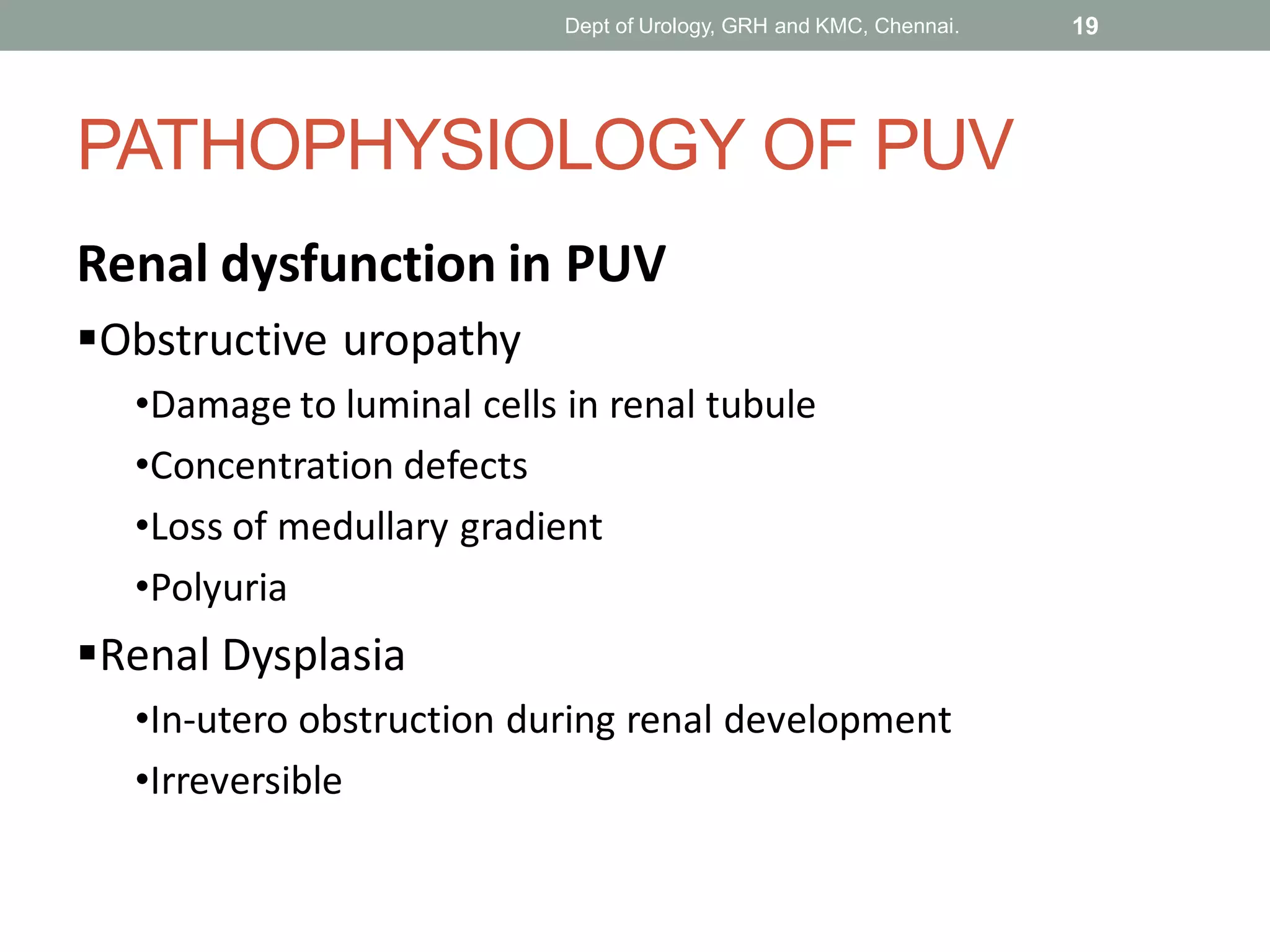 Pediatric urology :Posterior Urethral Valve (PUV)- diagnosis ...