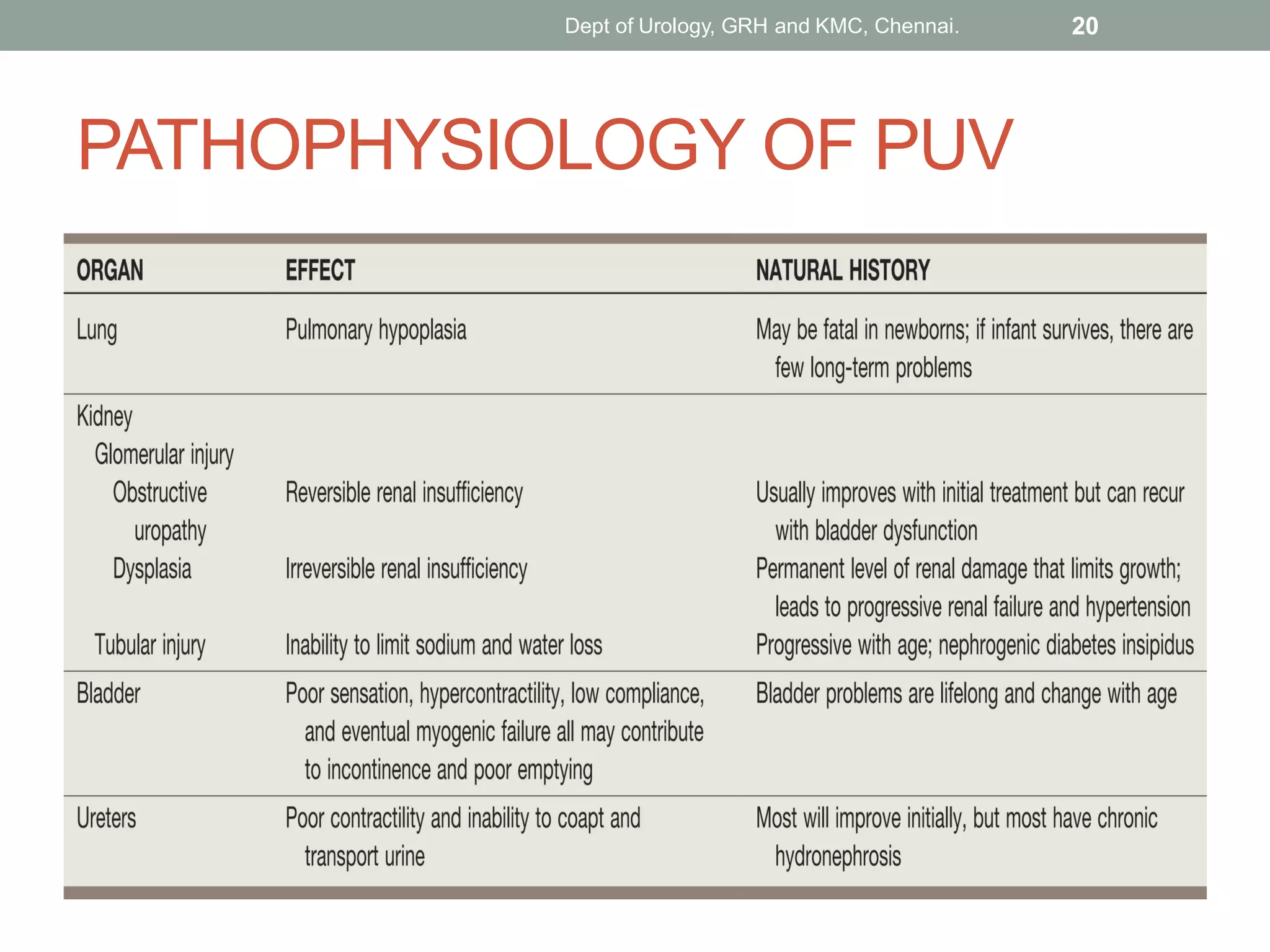 Pediatric urology :Posterior Urethral Valve (PUV)- diagnosis ...