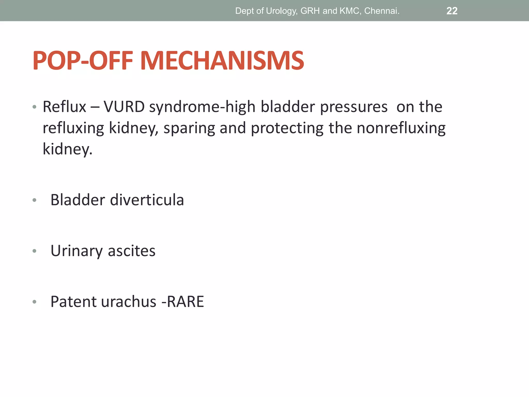 Pediatric urology :Posterior Urethral Valve (PUV)- diagnosis ...