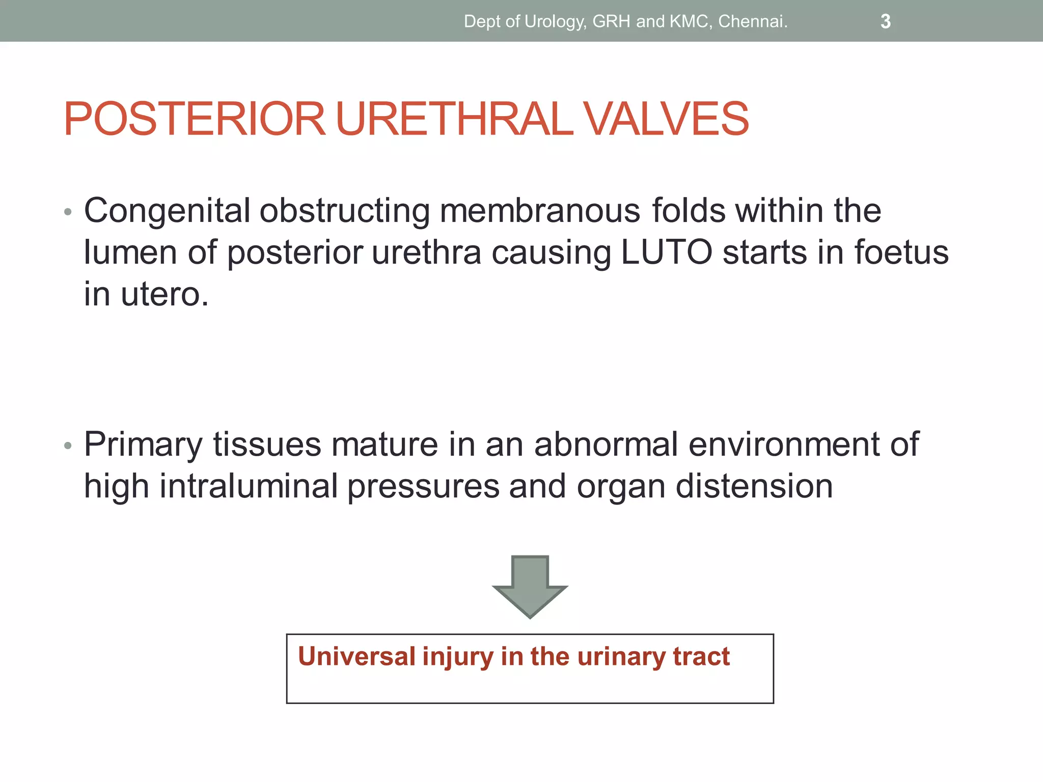 Pediatric urology :Posterior Urethral Valve (PUV)- diagnosis ...