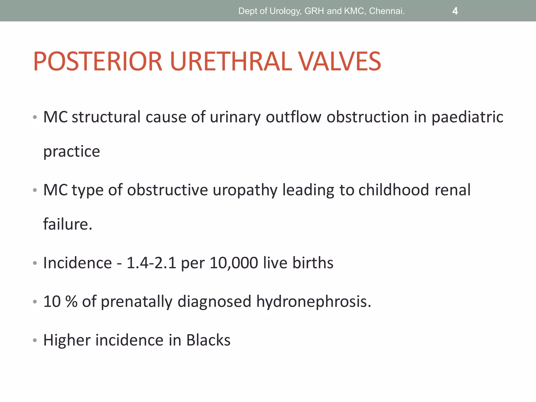 Pediatric urology :Posterior Urethral Valve (PUV)- diagnosis ...
