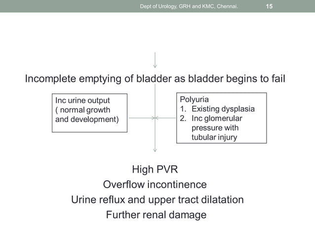 Pediatric urology :Posterior Urethral Valve (PUV)- diagnosis ...