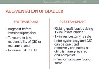 Pediatric urology :Posterior Urethral Valve (PUV)- diagnosis ...