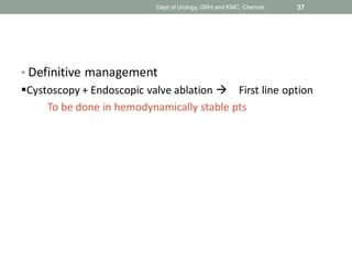 Posterior Urethral Valves Cystoscopy