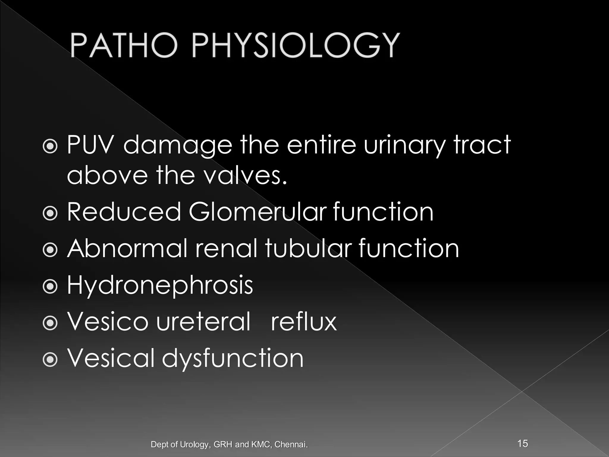 Pediatric urology : PUV- overview | PDF