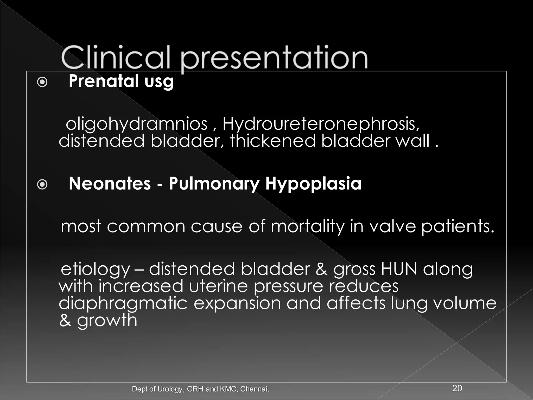 Pediatric urology : PUV- overview | PDF