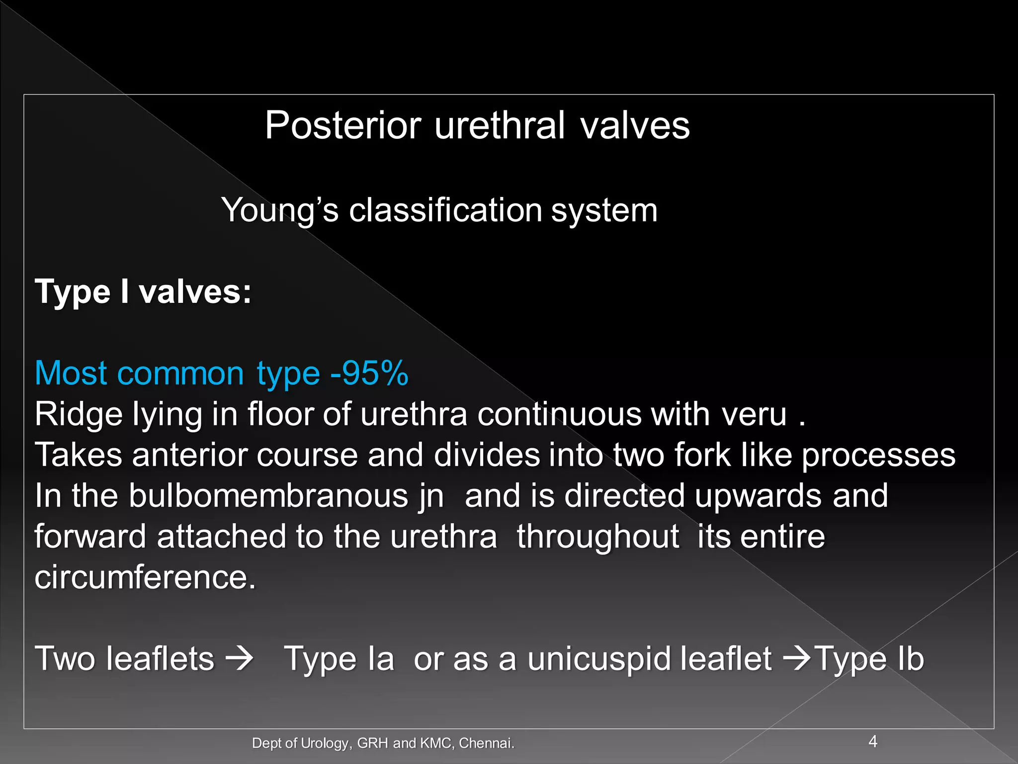 Pediatric urology : PUV- overview | PDF