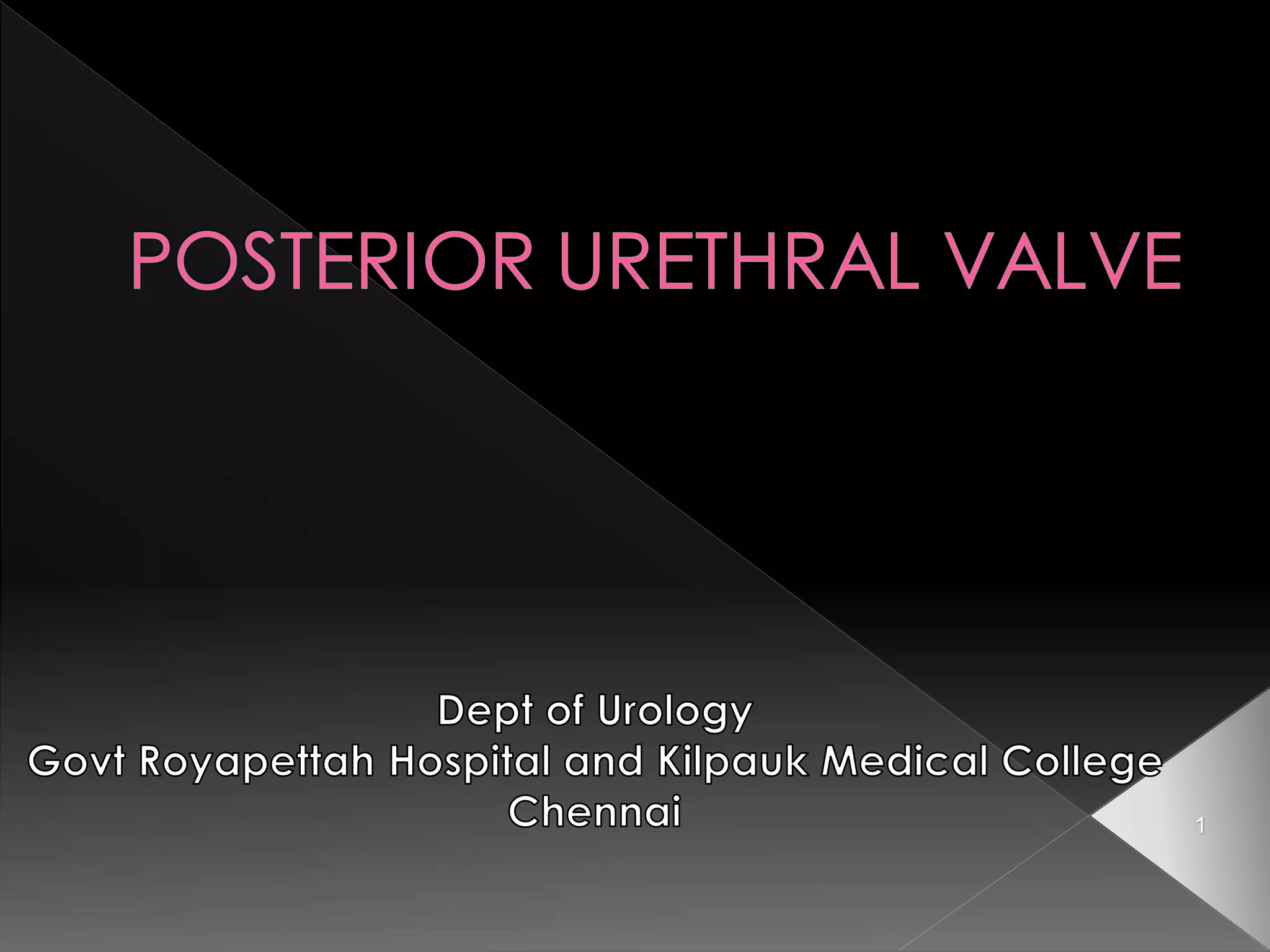 Pediatric urology : PUV- overview | PPT