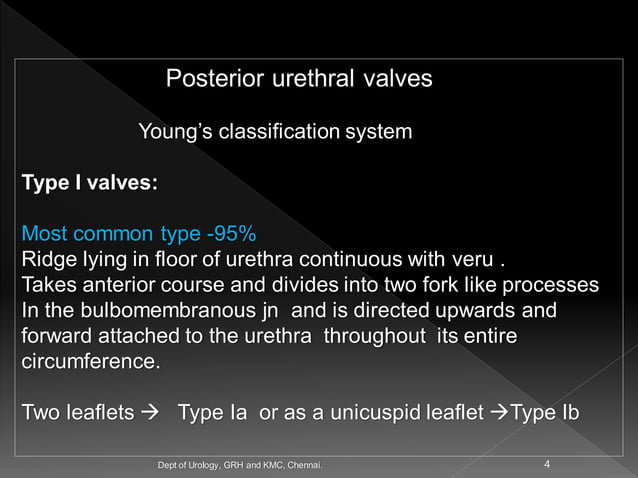 Pediatric urology : PUV- overview | PDF