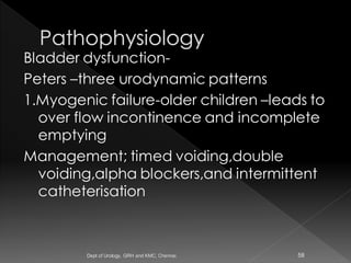 Pediatric urology : PUV- overview | PDF