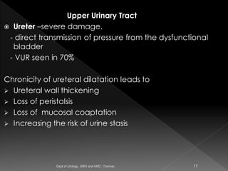 Pediatric urology : PUV- overview | PPT
