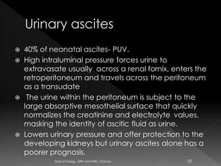 Pediatric urology : PUV- overview | PPT