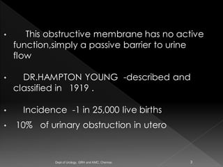 Pediatric urology : PUV- overview | PPT