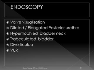 Pediatric urology : PUV- overview | PPT