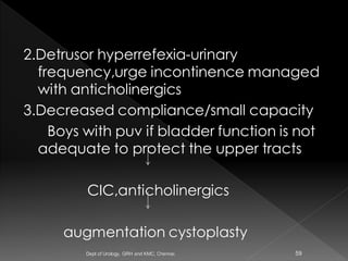Pediatric urology : PUV- overview | PPT