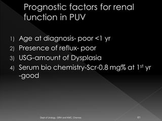 Pediatric urology : PUV- overview | PPT