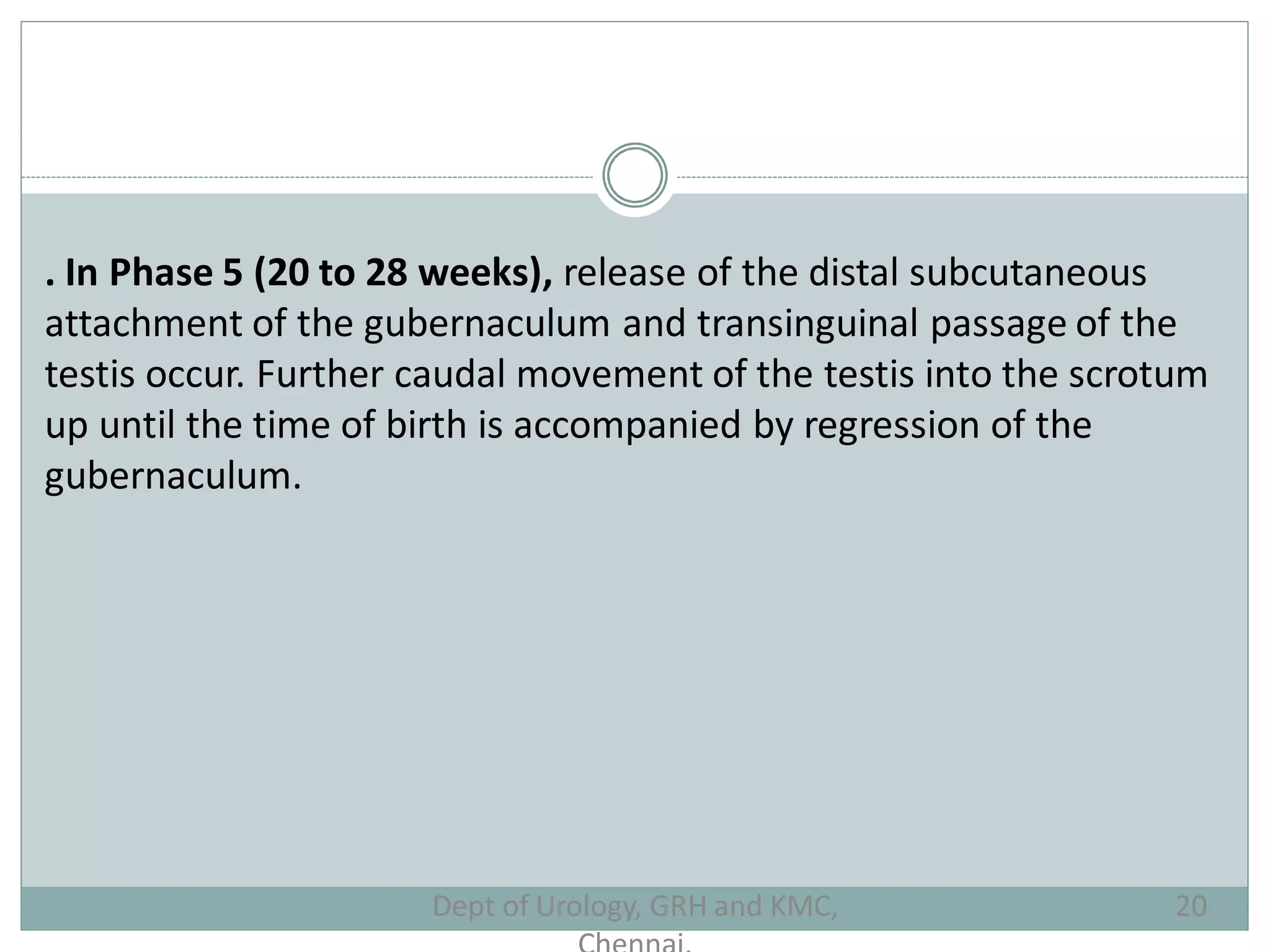 Pediatric urology :Undescended Testis (UDT) | PDF