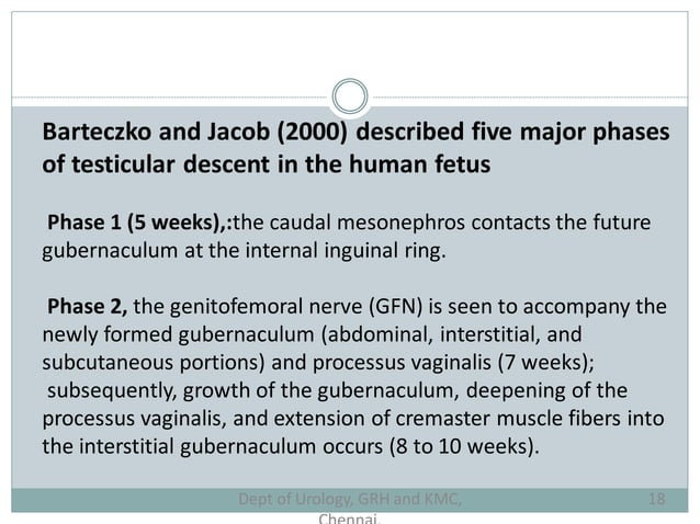 Pediatric urology :Undescended Testis (UDT) | PPT