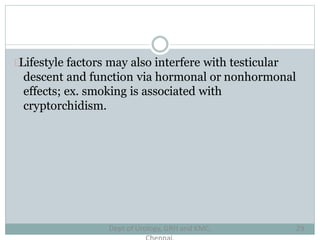 Pediatric urology :Undescended Testis (UDT) | PDF