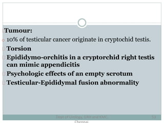 Pediatric urology :Undescended Testis (UDT) | PDF