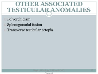 Pediatric urology :Undescended Testis (UDT) | PDF