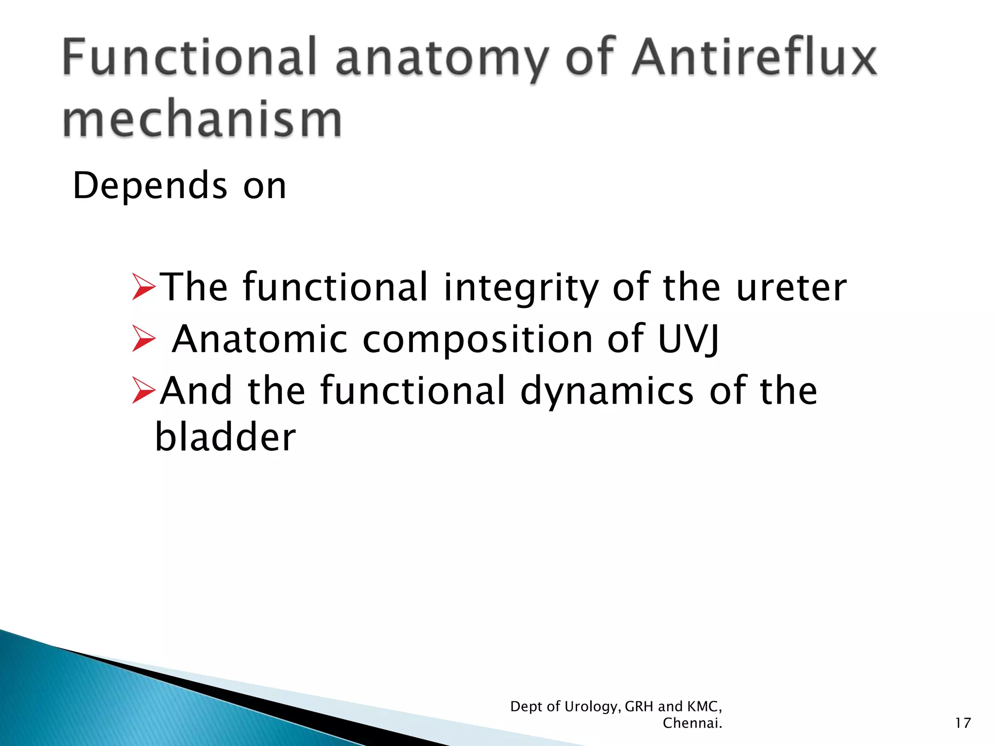 Pediatric urology : Vesicoureteric reflux(vur)- overview | PDF ...