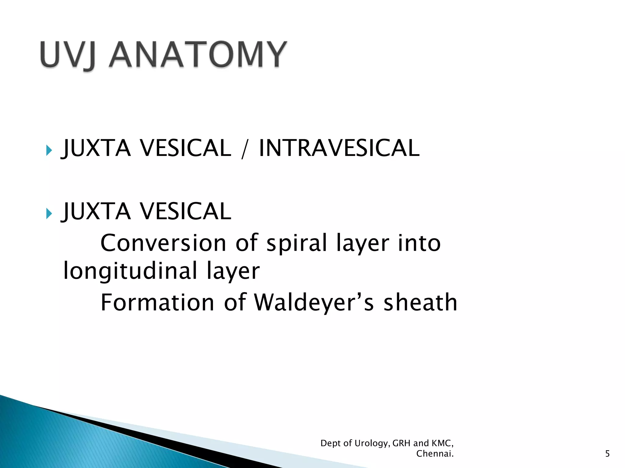 Pediatric urology : Vesicoureteric reflux(vur)- overview | PDF