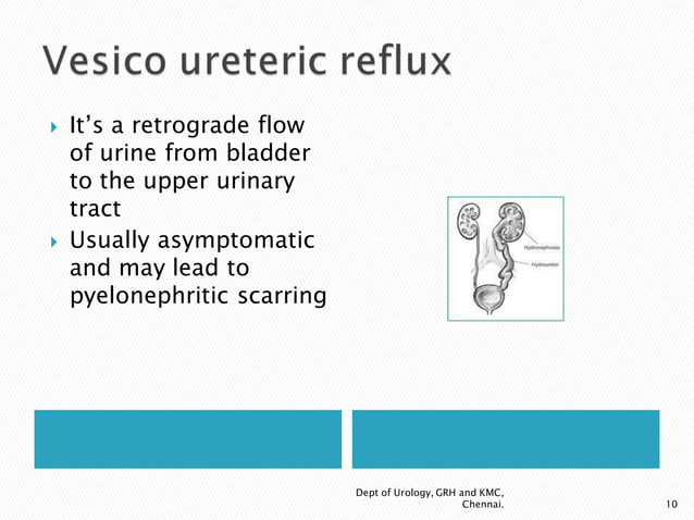 Pediatric urology : Vesicoureteric reflux(vur)- overview | PDF ...